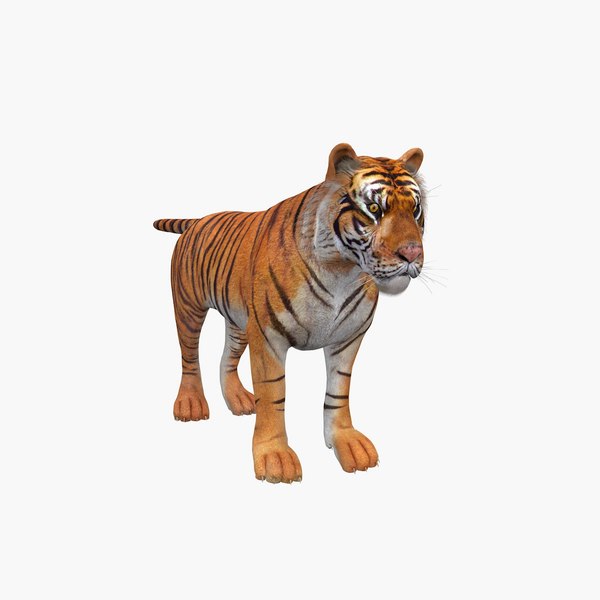 3D модель Тигр - TurboSquid 1746336