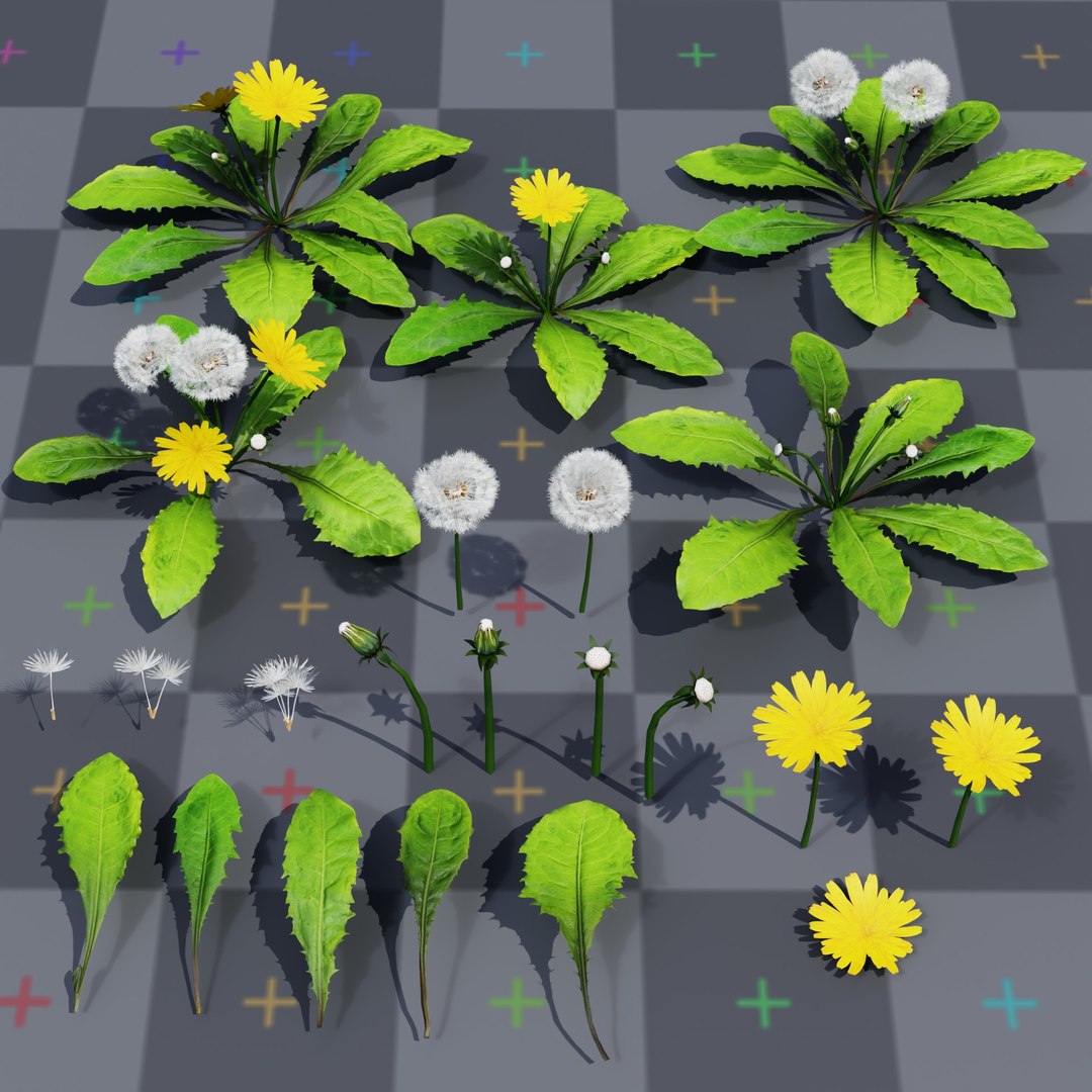 Dandelion 3d Model Asset Pack 3D Model - TurboSquid 2407282