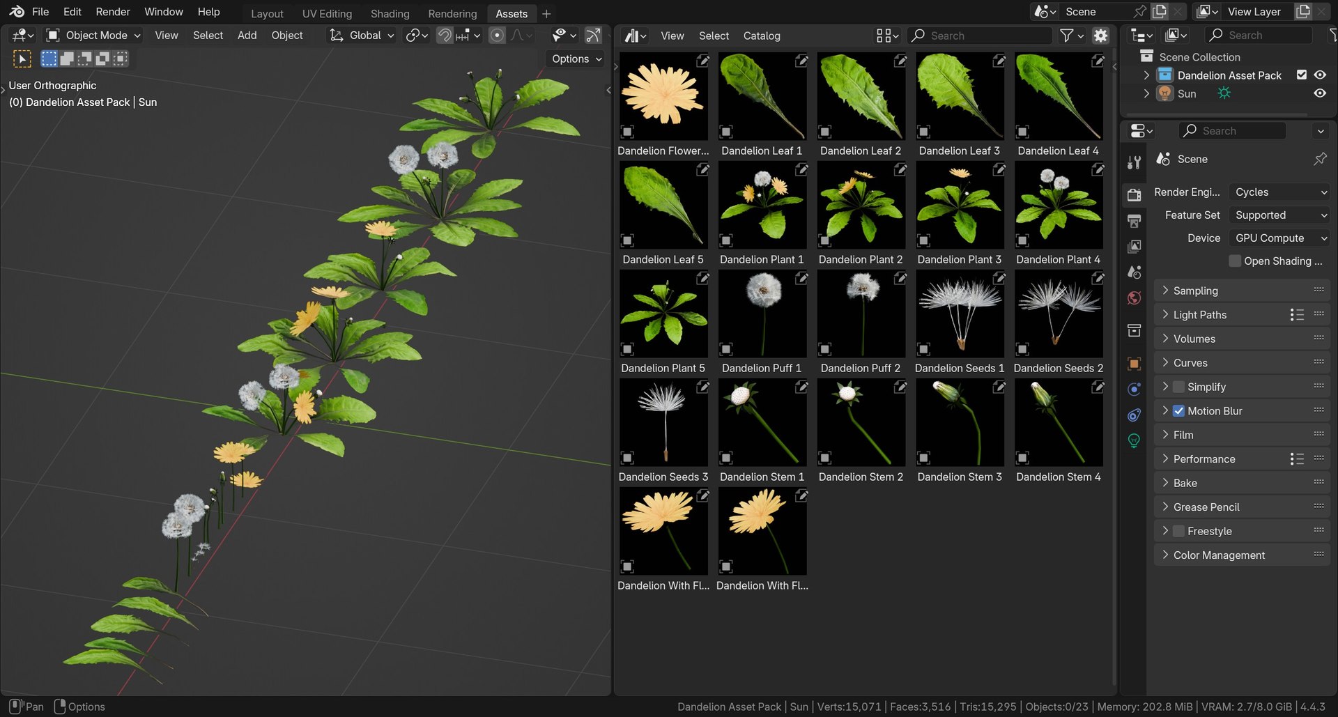 Dandelion 3d Model Asset Pack 3D Model - TurboSquid 2407282