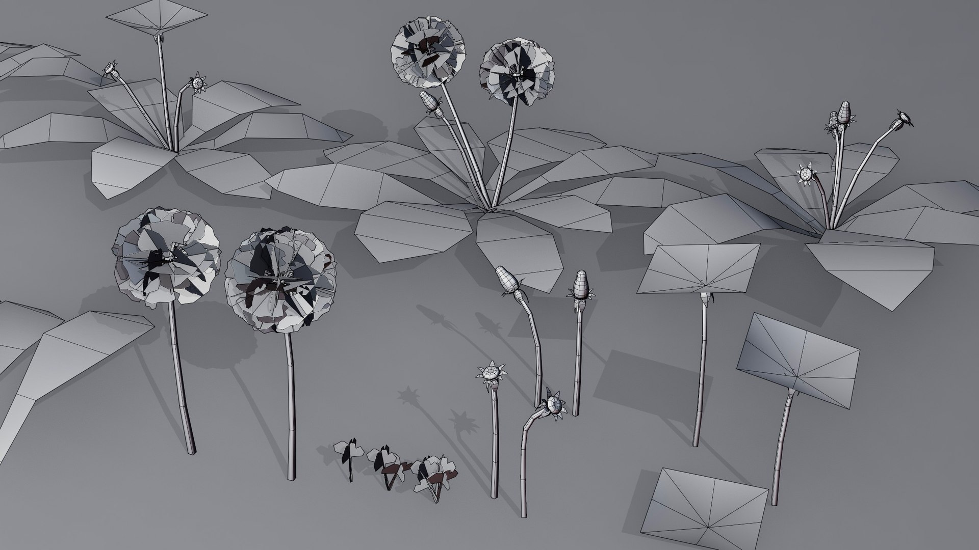 Dandelion 3d Model Asset Pack 3D Model - TurboSquid 2407282