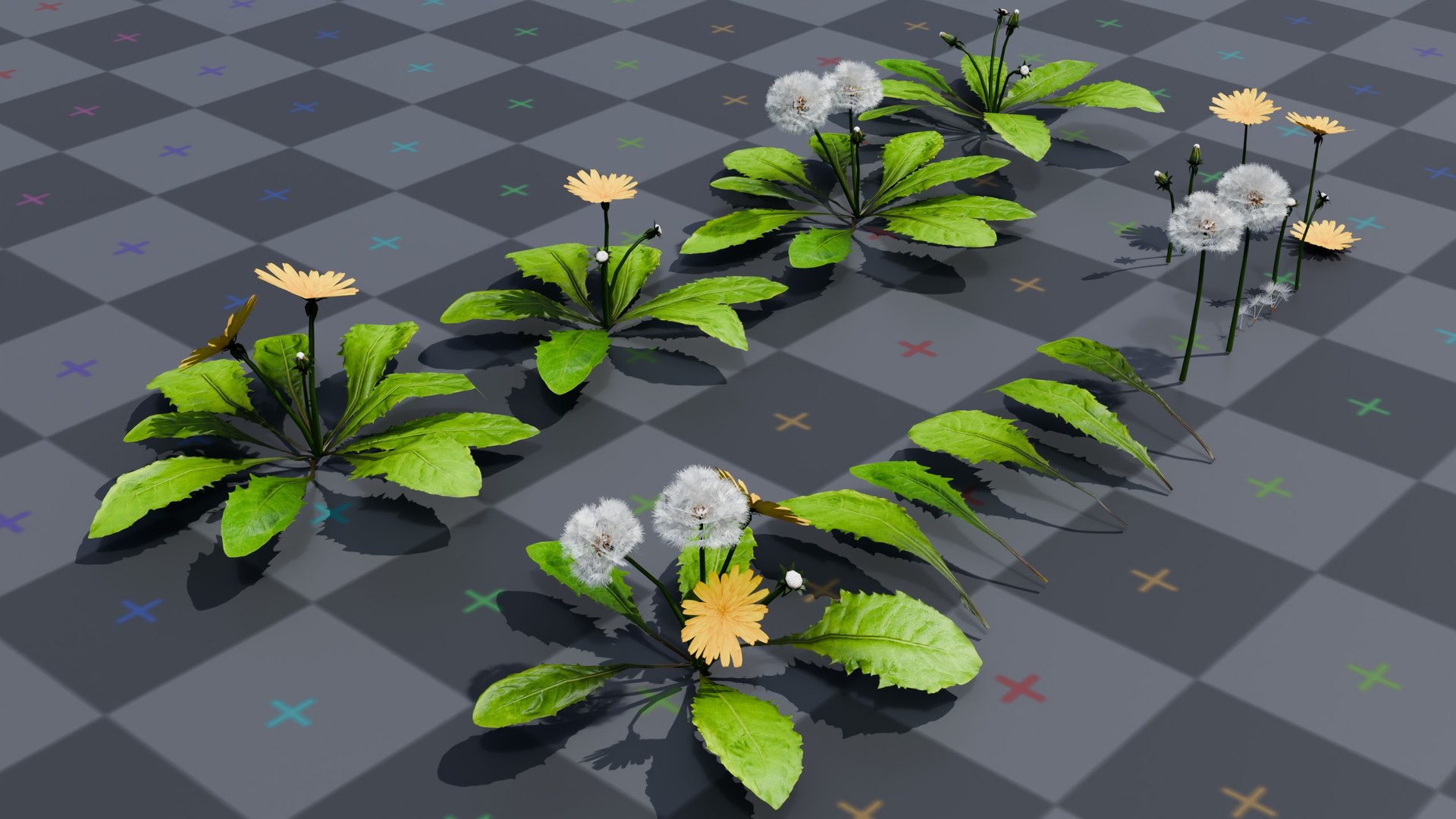 Dandelion 3d Model Asset Pack 3D Model - TurboSquid 2407282
