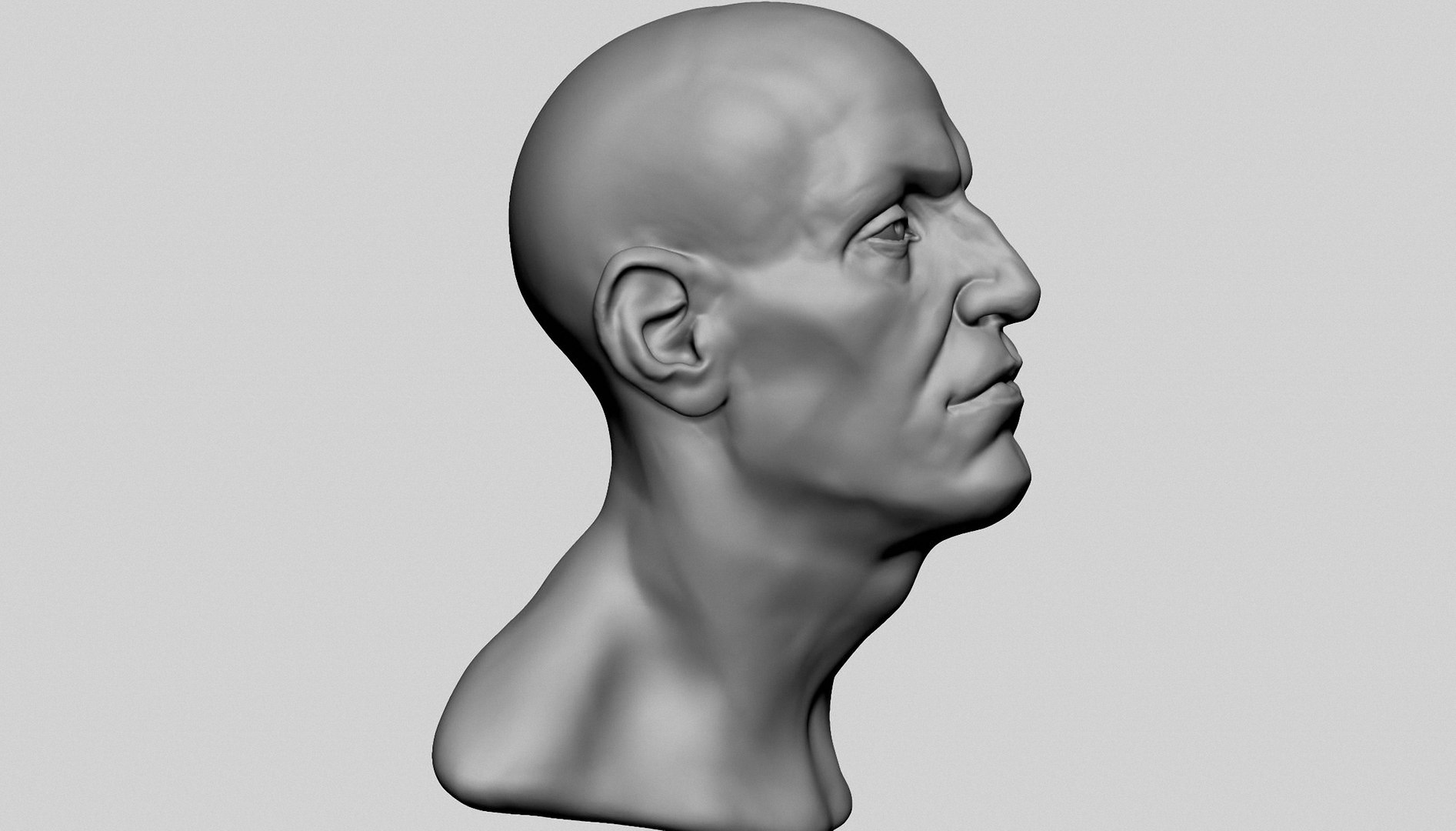 3D Male Head Anatomy - TurboSquid 1891988