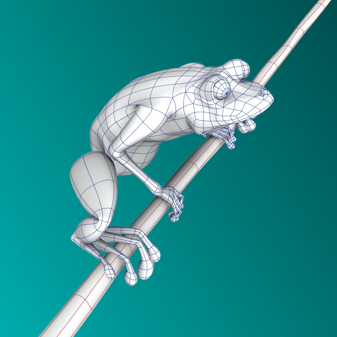 3d tree frog animations