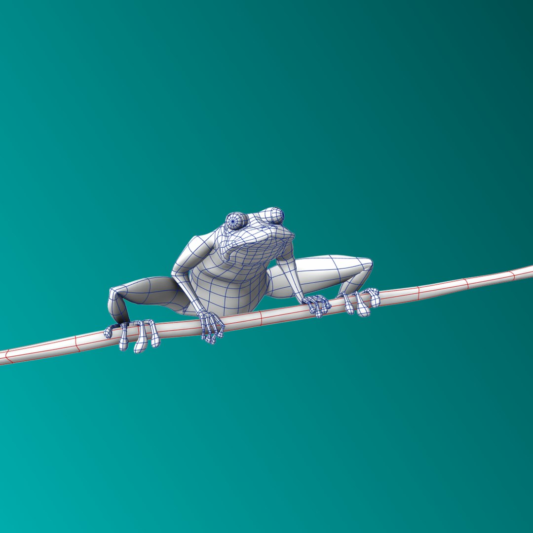 3d tree frog animations
