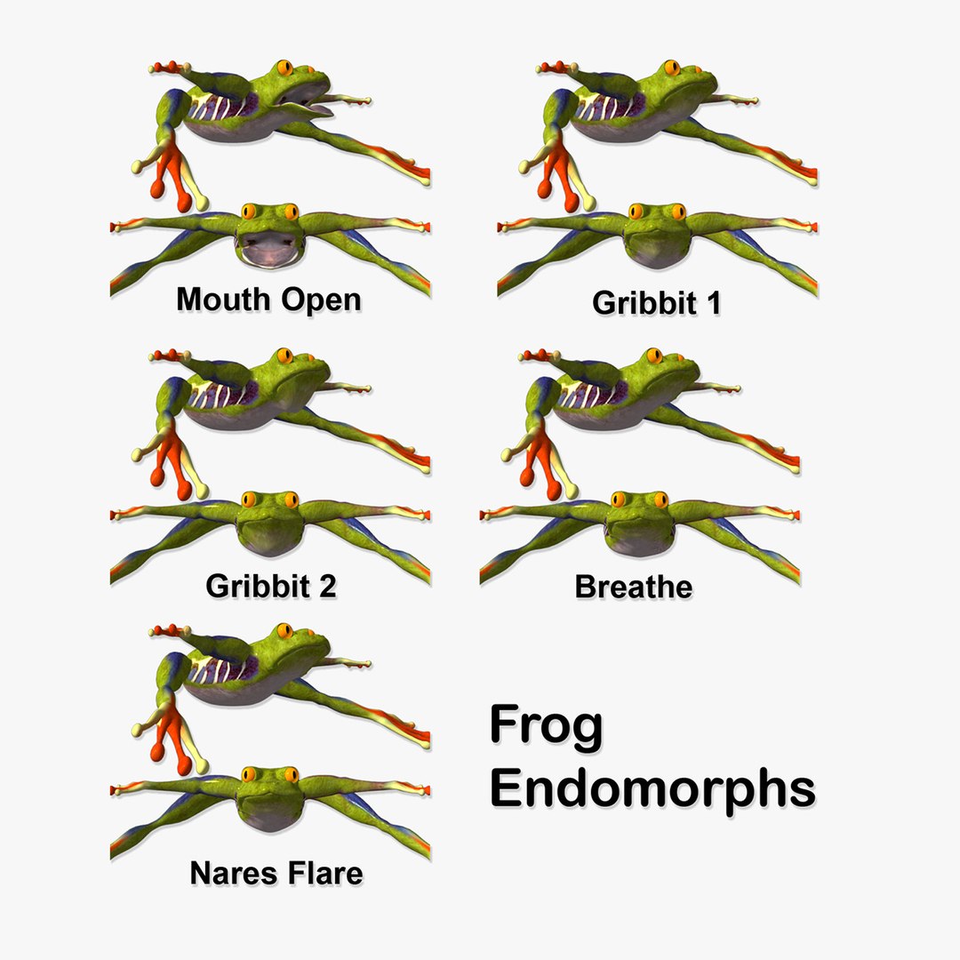 3d tree frog animations
