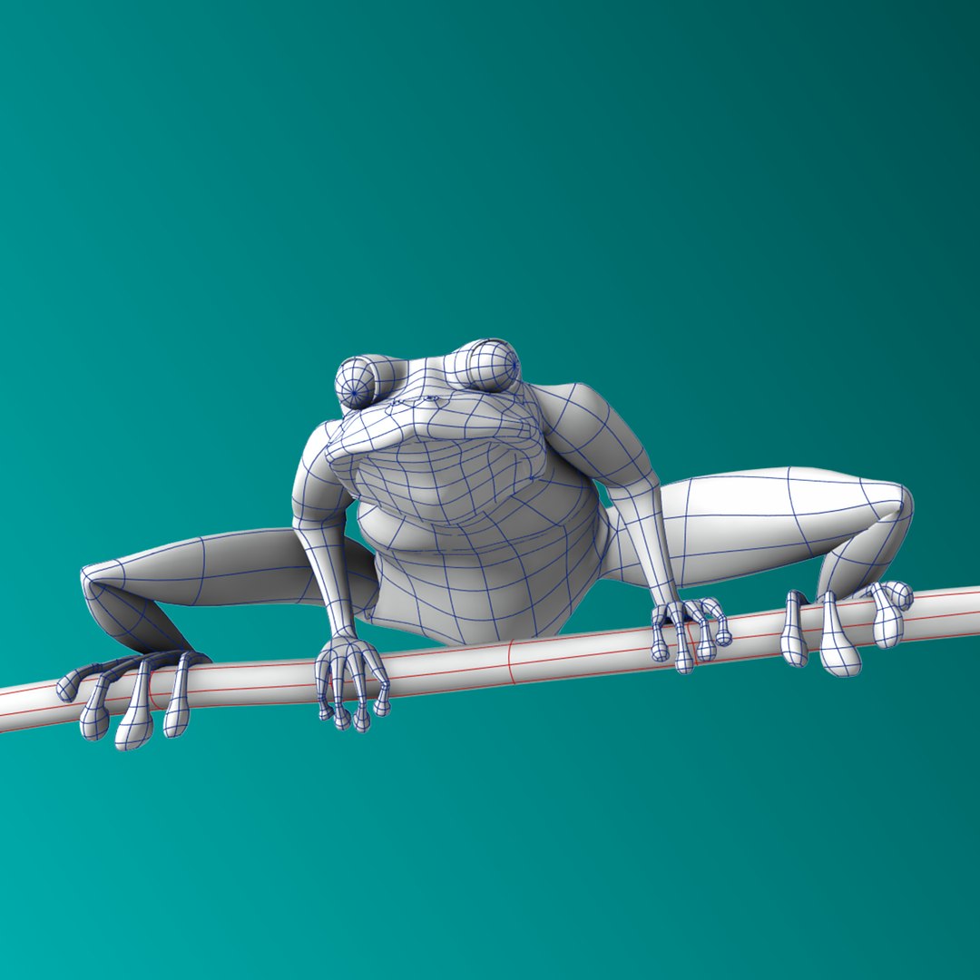 3d tree frog animations
