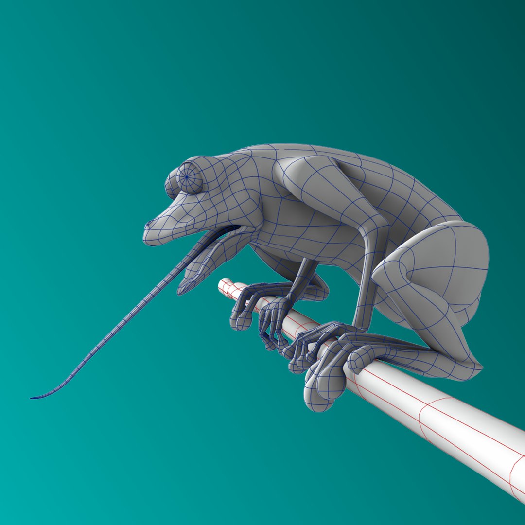 3d tree frog animations