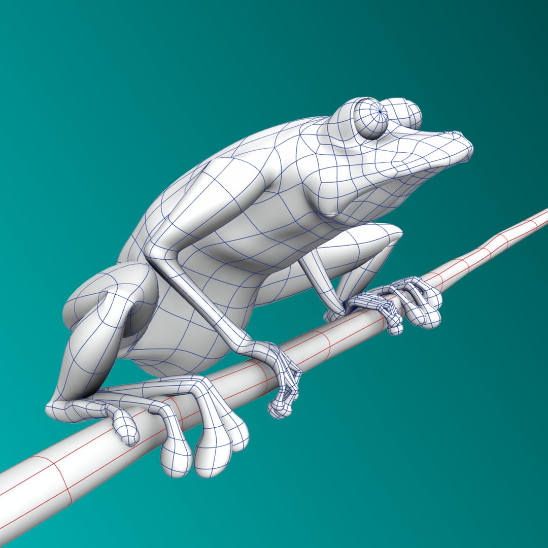 3d tree frog animations