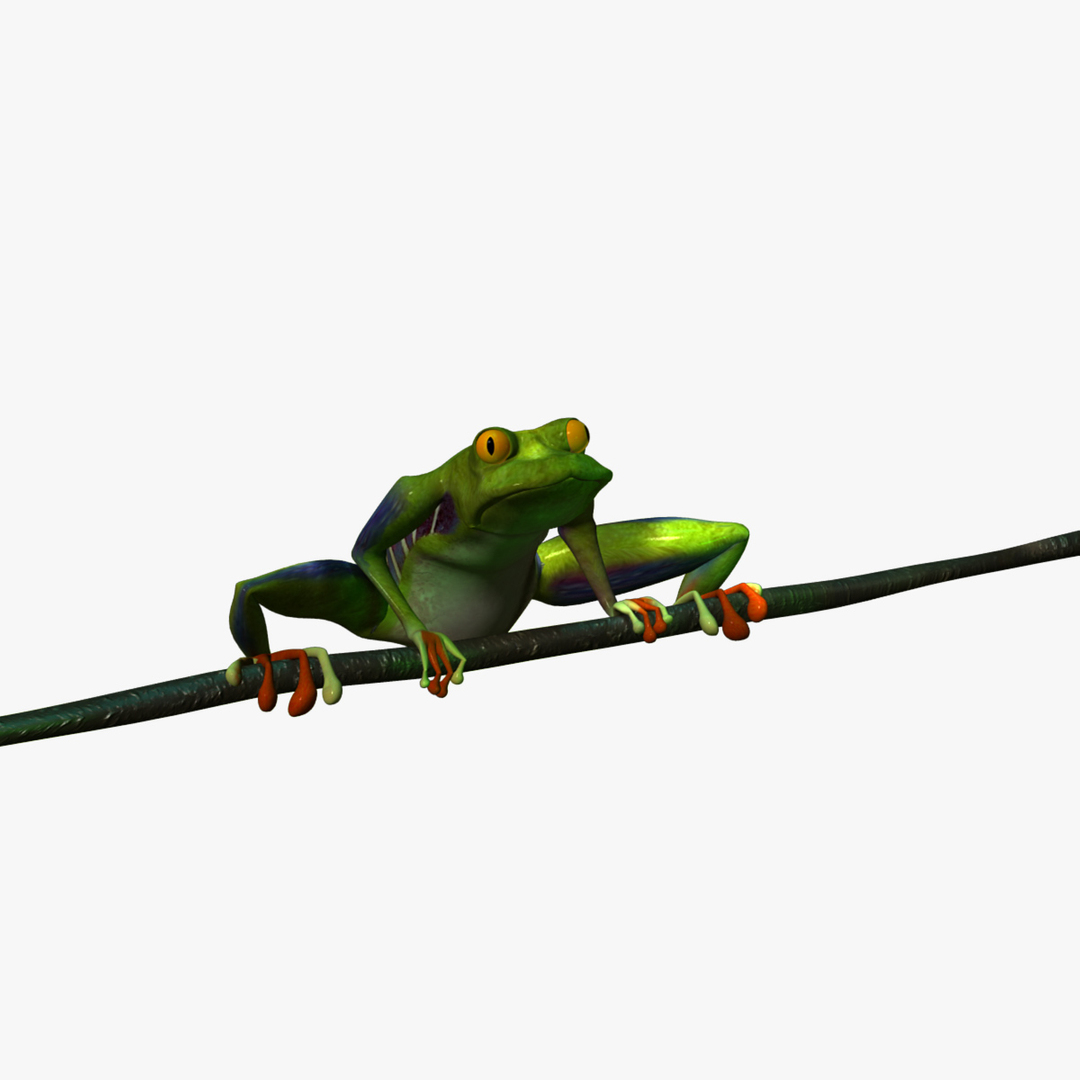 3d tree frog animations