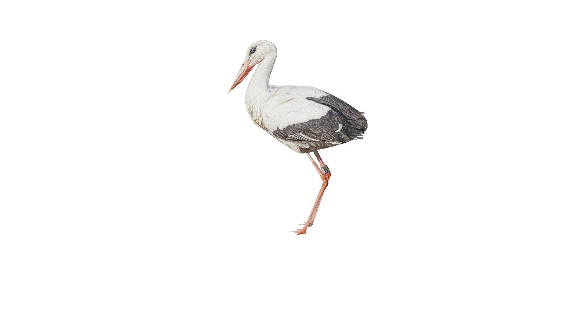 Gru Bird Animated 3D Model - TurboSquid 1817465