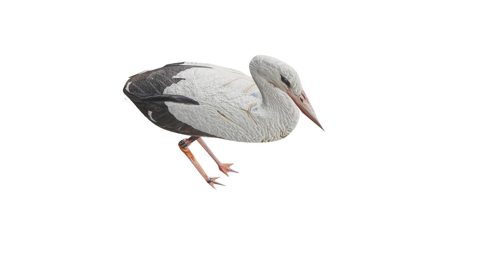 Gru Bird Animated 3D Model - TurboSquid 1817465