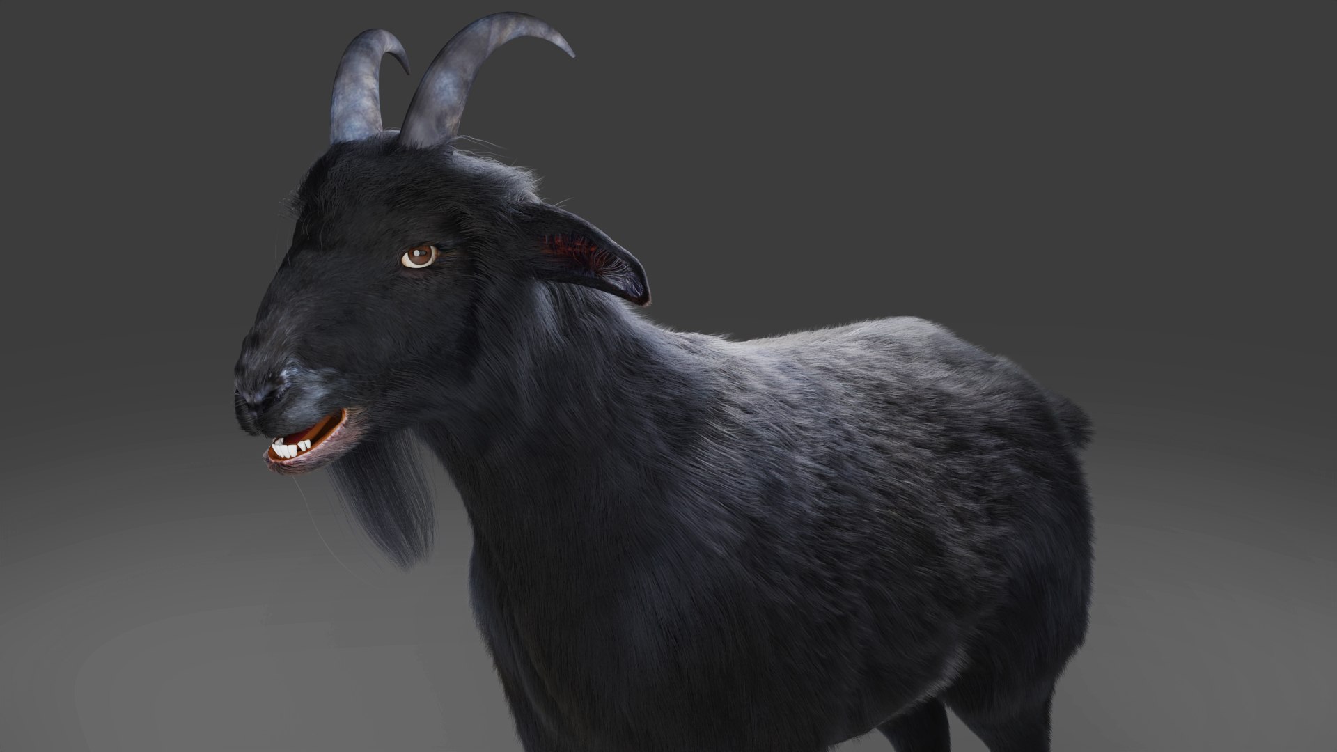 3D 3D Fur Goat 05 NO Rigged In Blender - TurboSquid 2006507