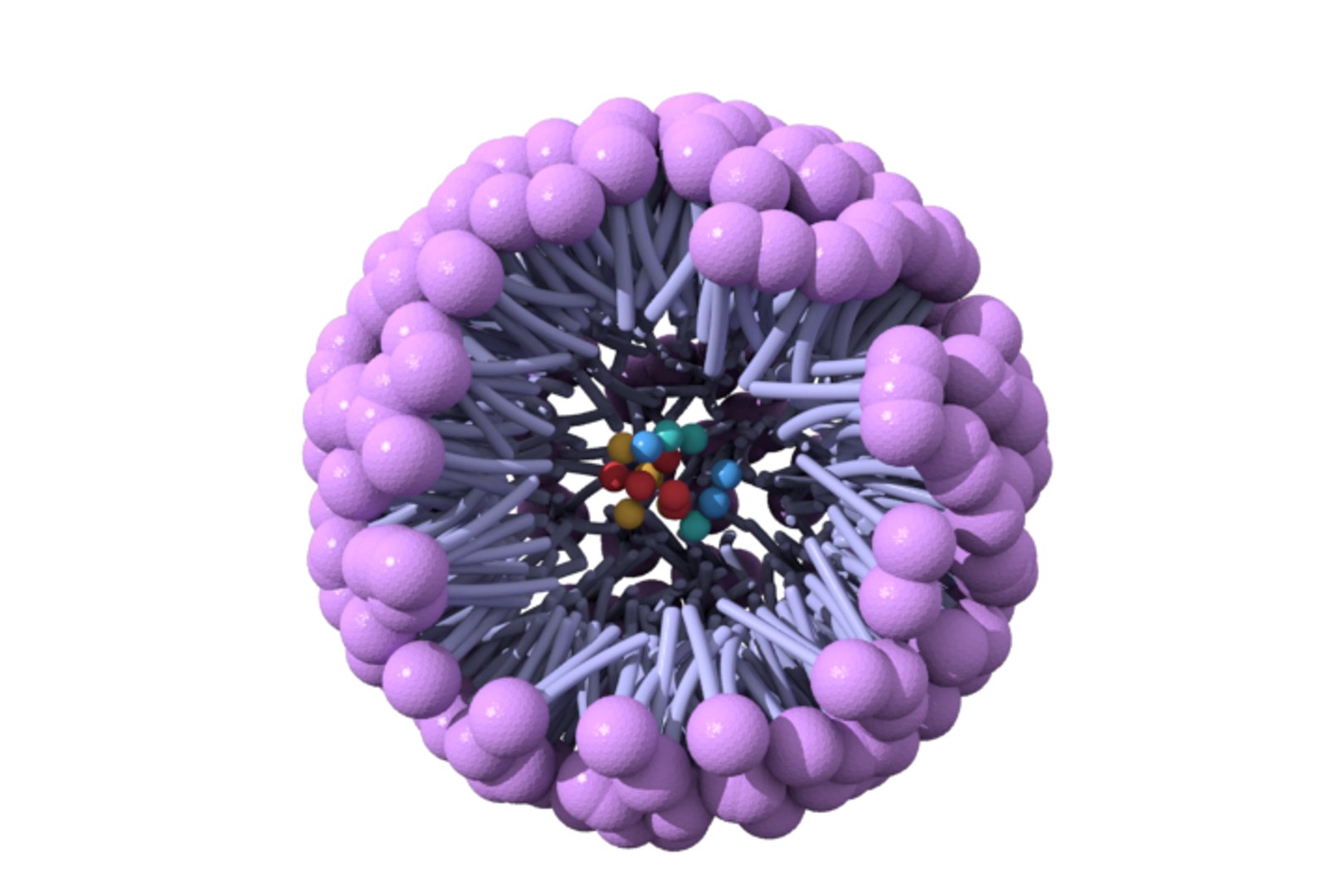 3D Micelle Surfactant Molecules Model - TurboSquid 1224529