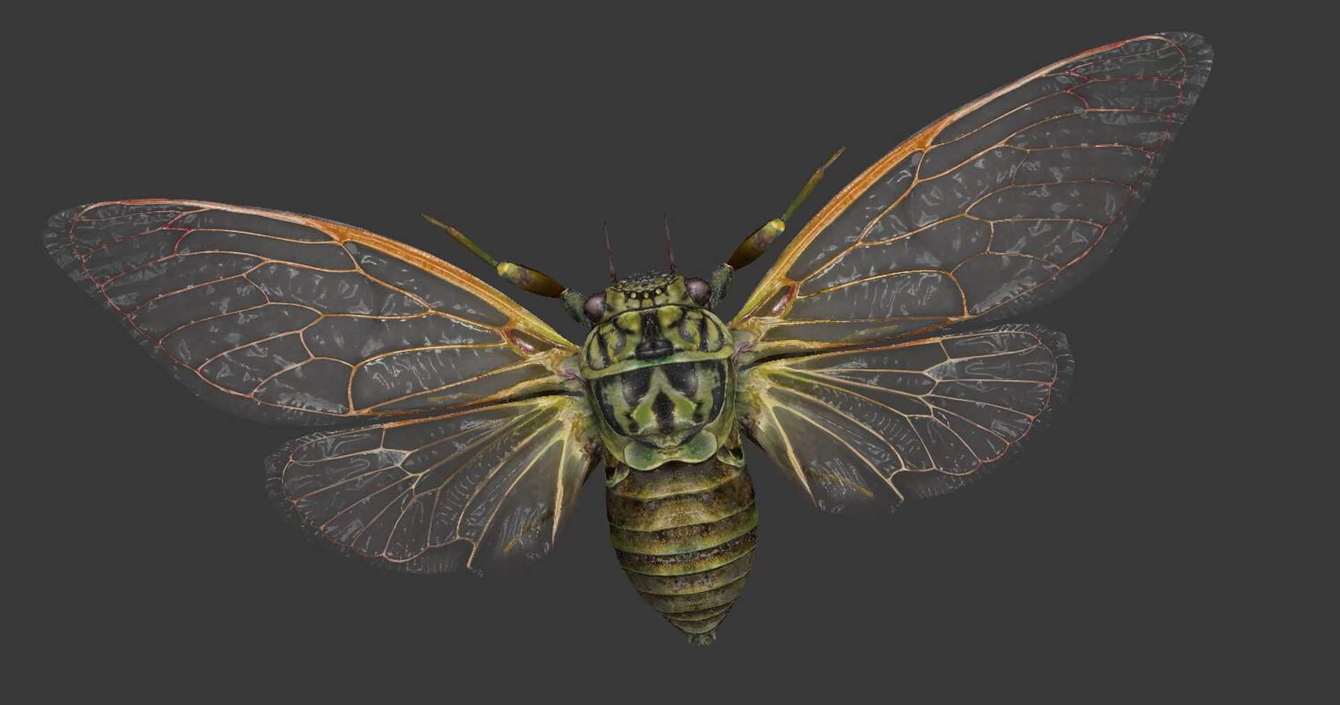 Cicada Games 3D Model - TurboSquid 1280368
