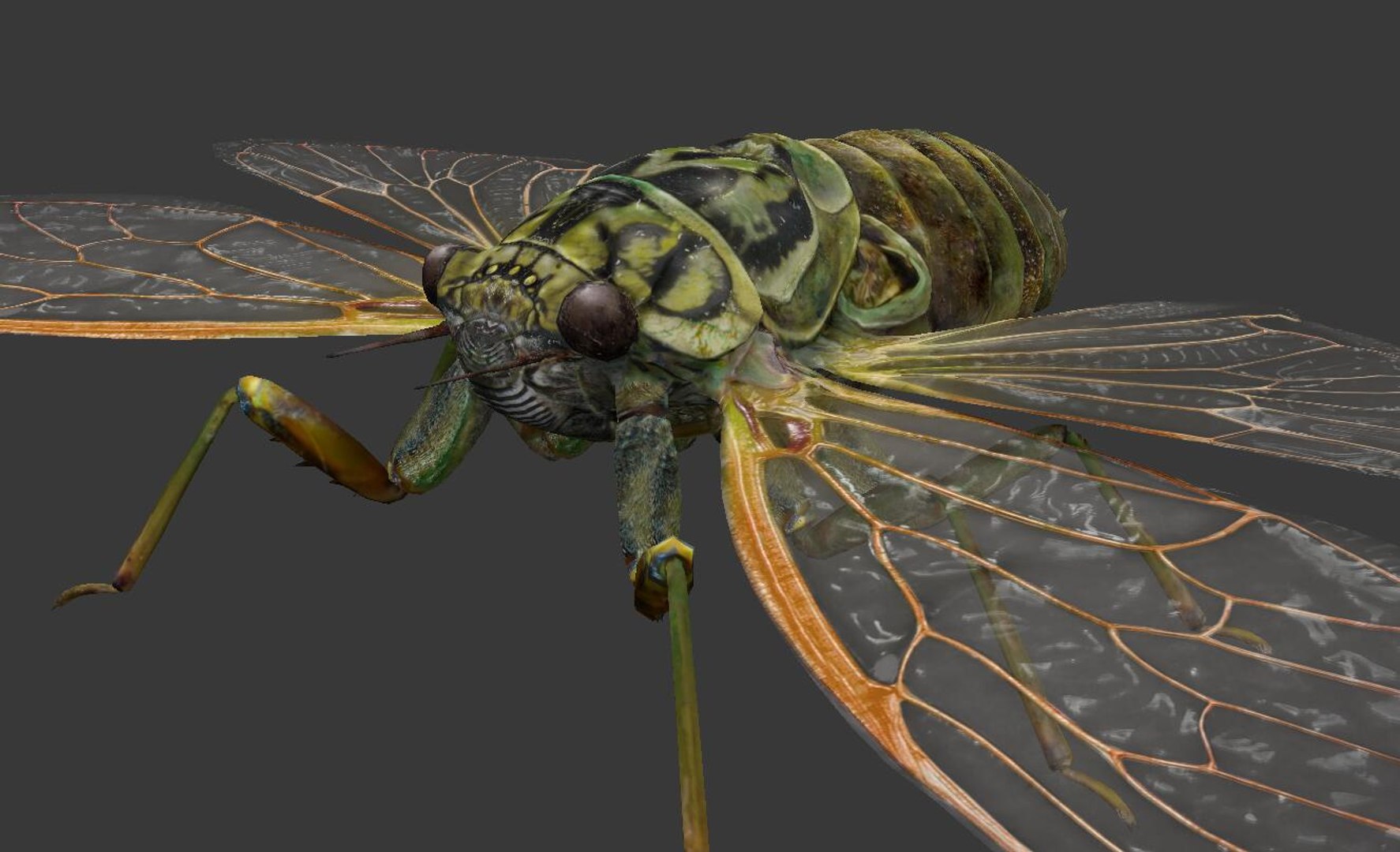Cicada Games 3D Model - TurboSquid 1280368