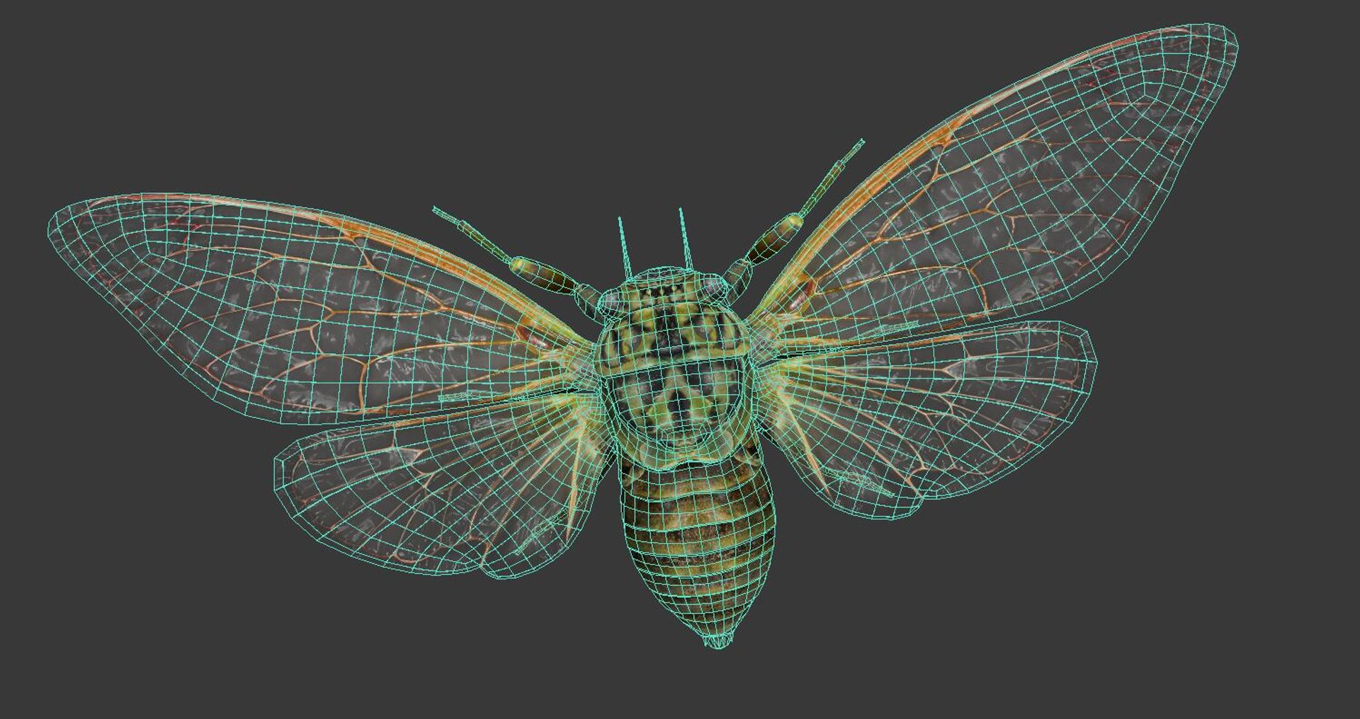 Cicada Games 3D Model - TurboSquid 1280368
