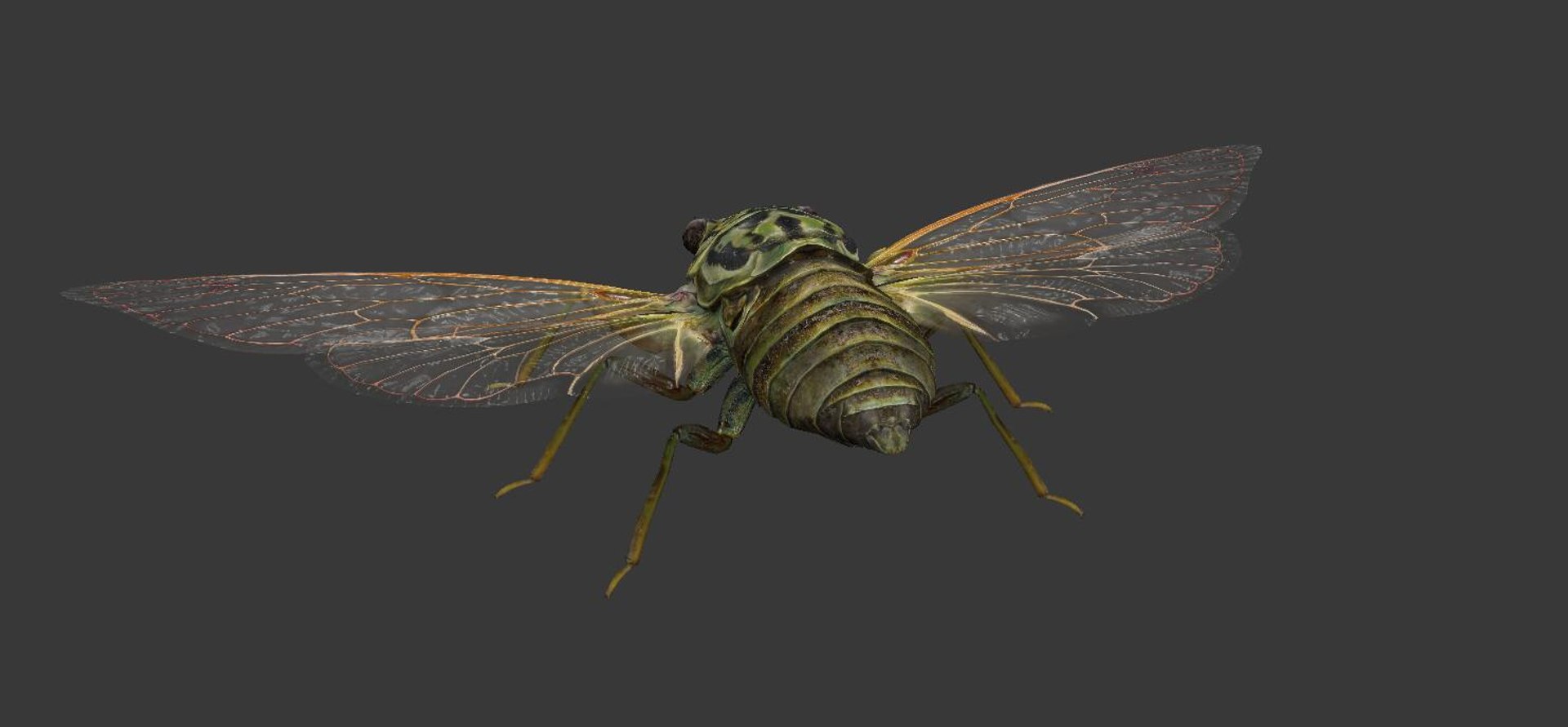 Cicada Games 3D Model - TurboSquid 1280368