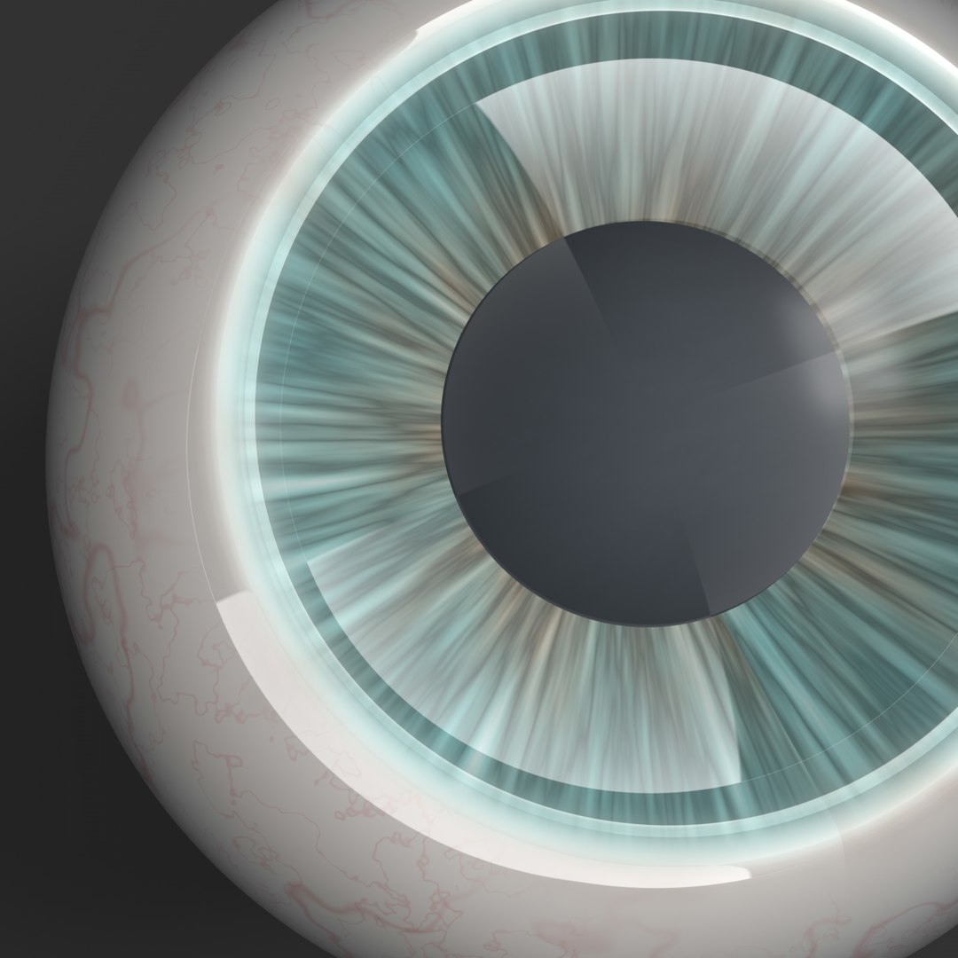 3d Model Realistic Human Eye