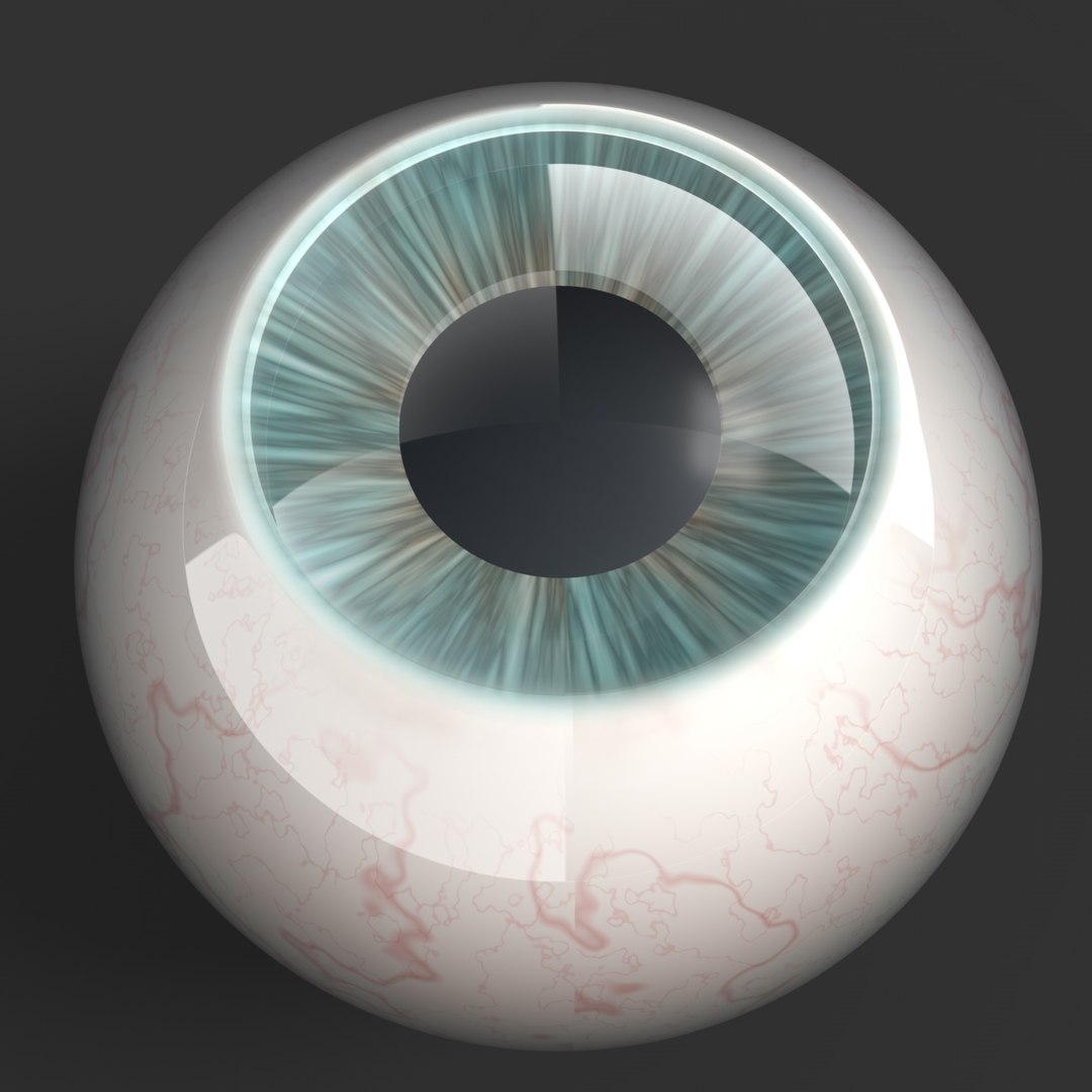 3d Model Realistic Human Eye