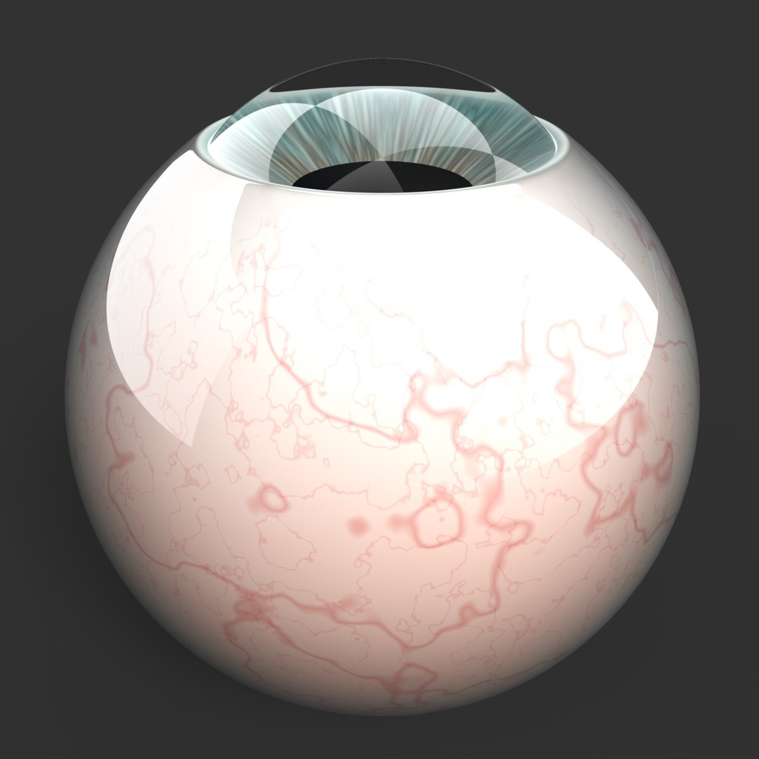 3d Model Realistic Human Eye