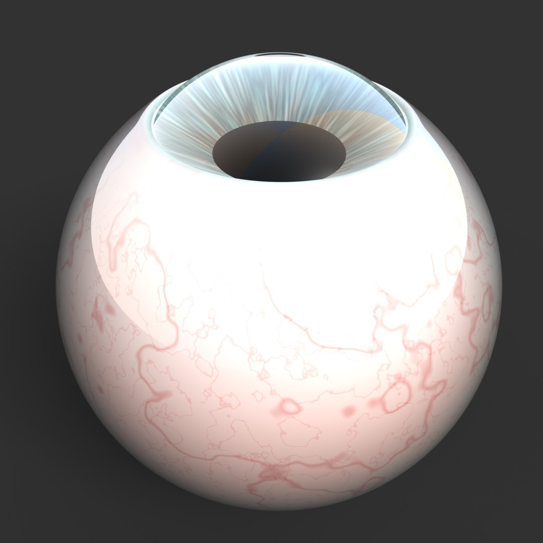 3d Model Realistic Human Eye