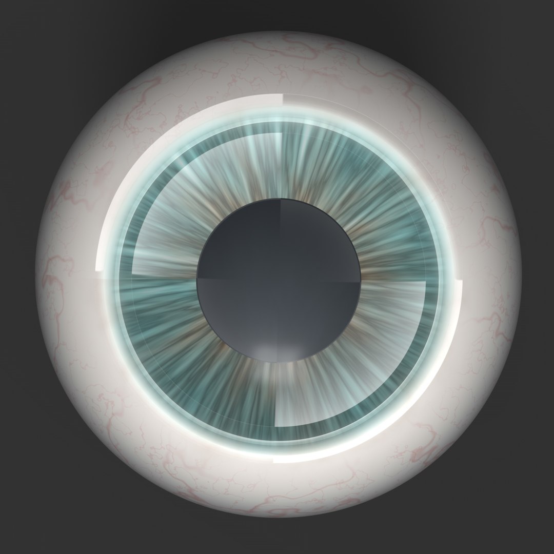 3d Model Realistic Human Eye