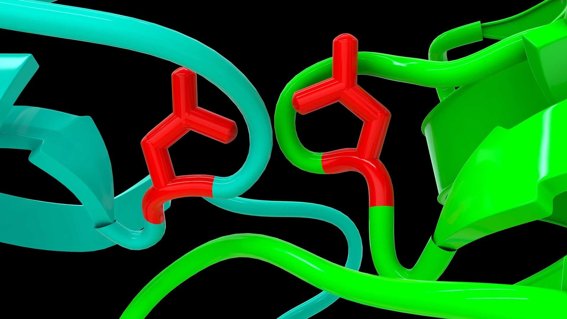 Protease Peptidase Enzyme Model - TurboSquid 2189596