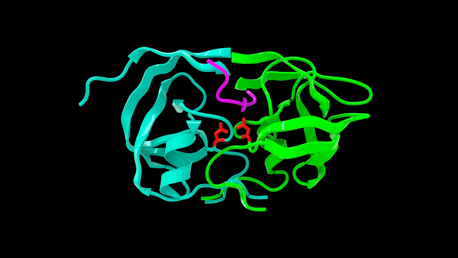 Protease Peptidase Enzyme Model - TurboSquid 2189596