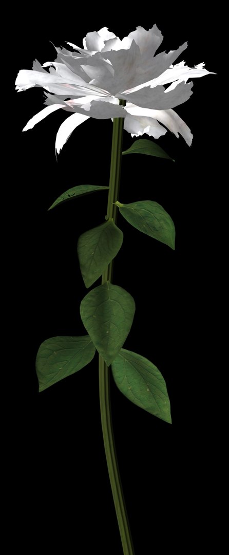 3ds Max Plant Flower