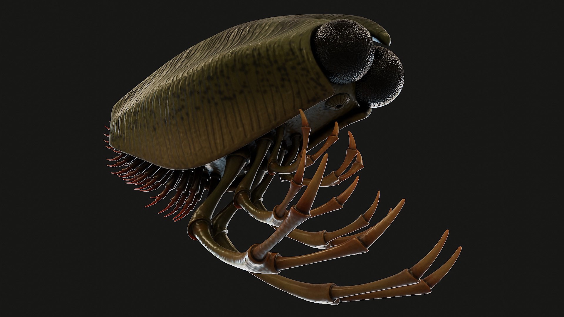 Thylacocephala 3D Model - TurboSquid 2300077
