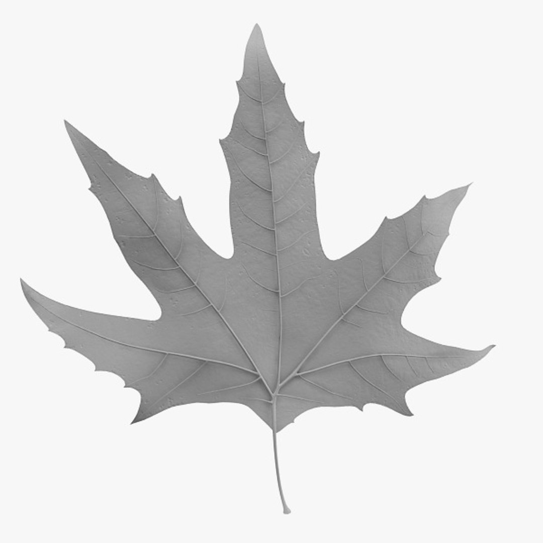 realistic autumn maple leaf 3d model