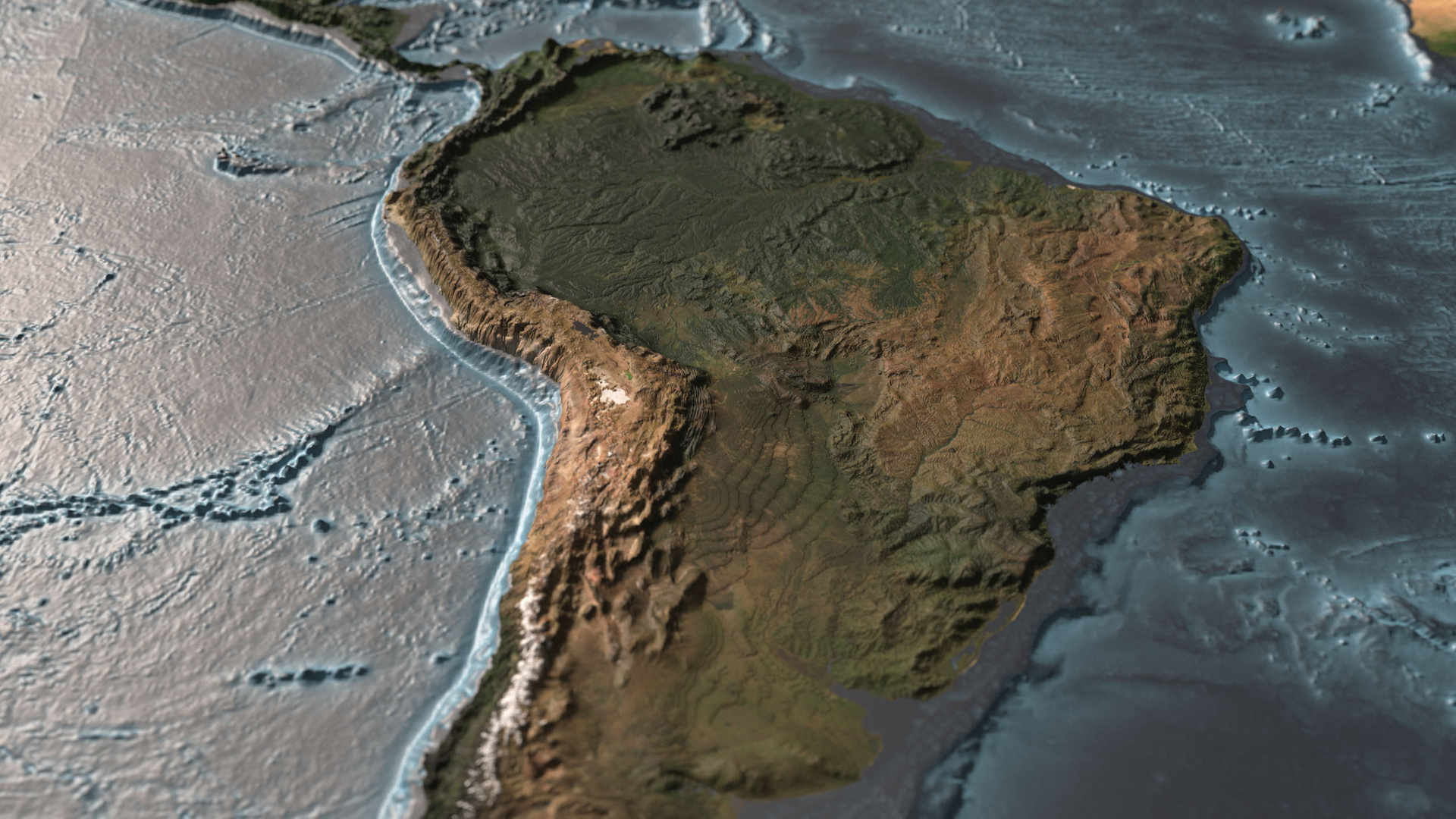 World Map Collection3D模型 - TurboSquid 2079491