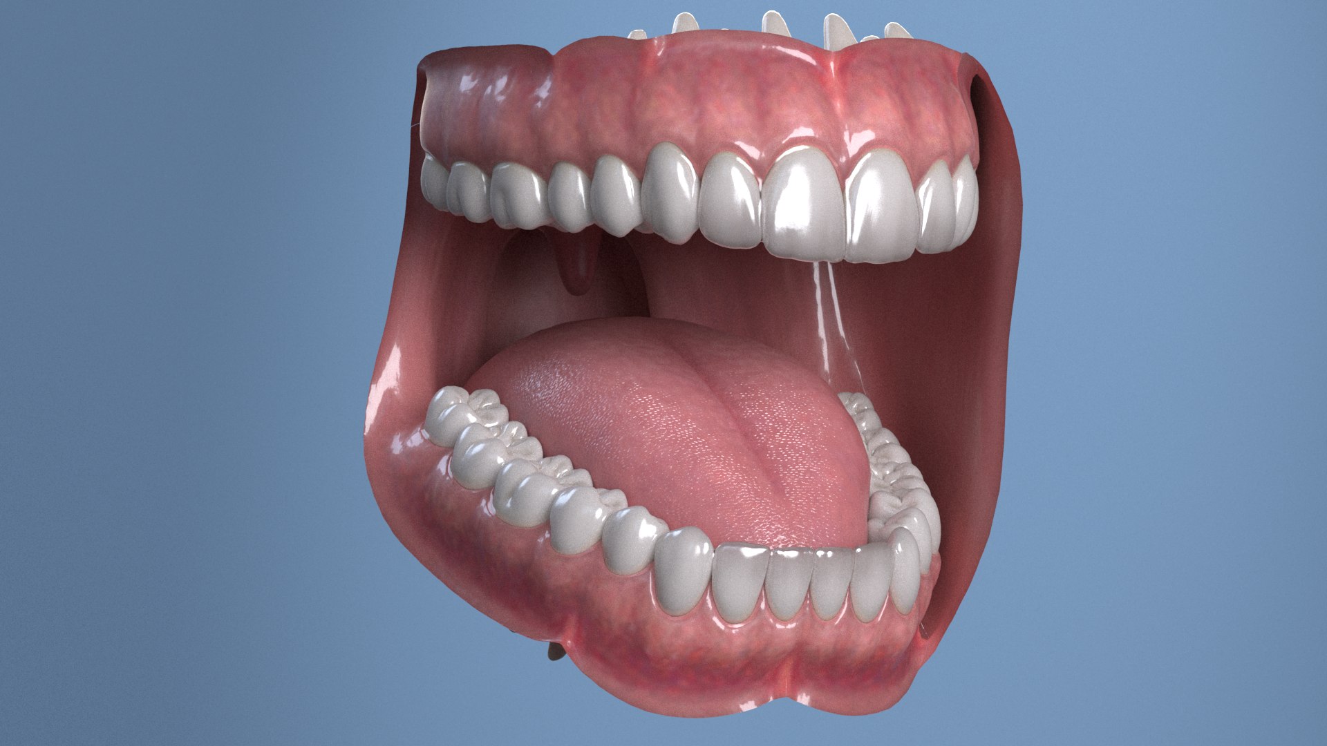 3D Human Mouth - TurboSquid 2323885