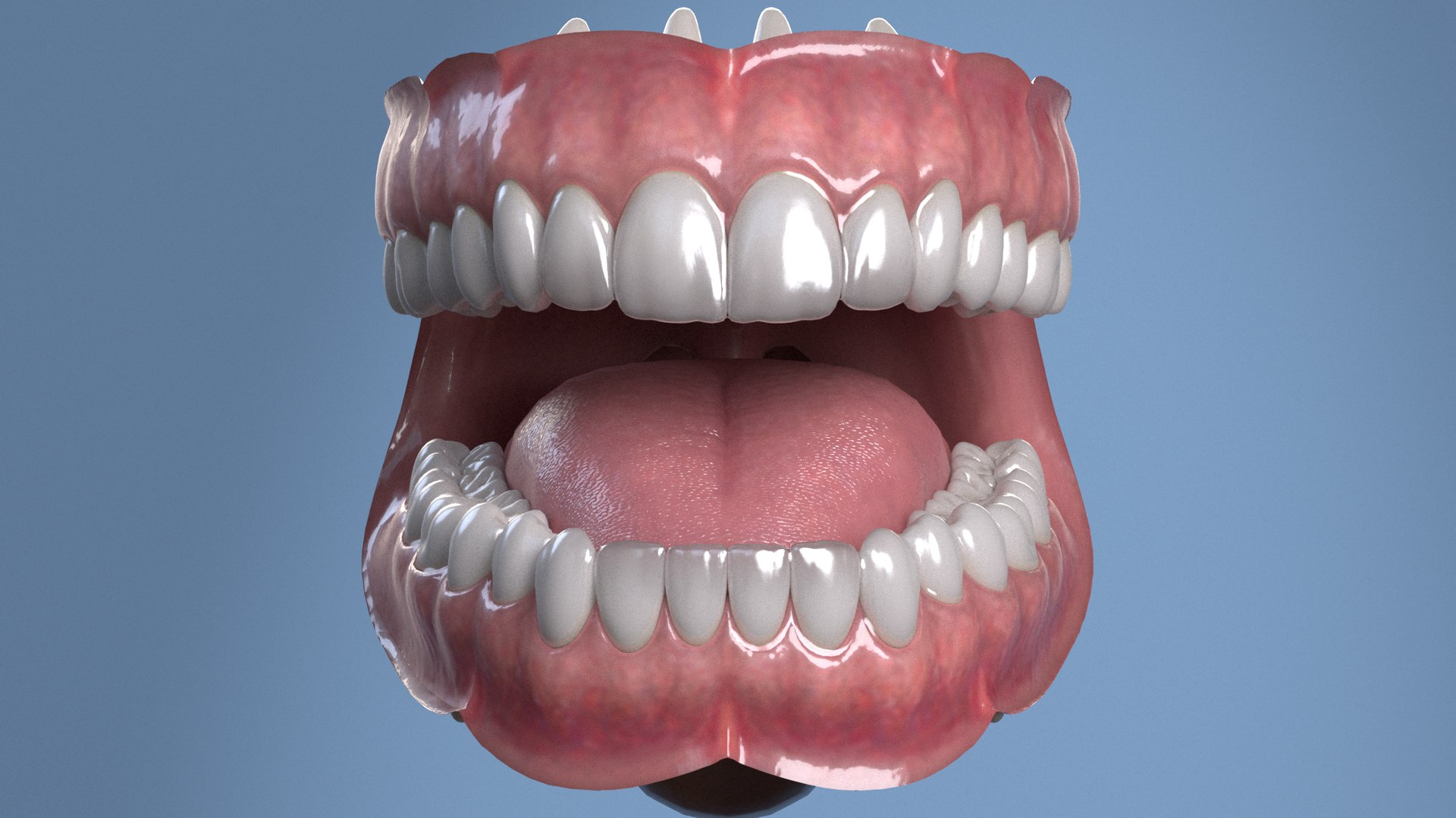 3D Human Mouth - TurboSquid 2323885