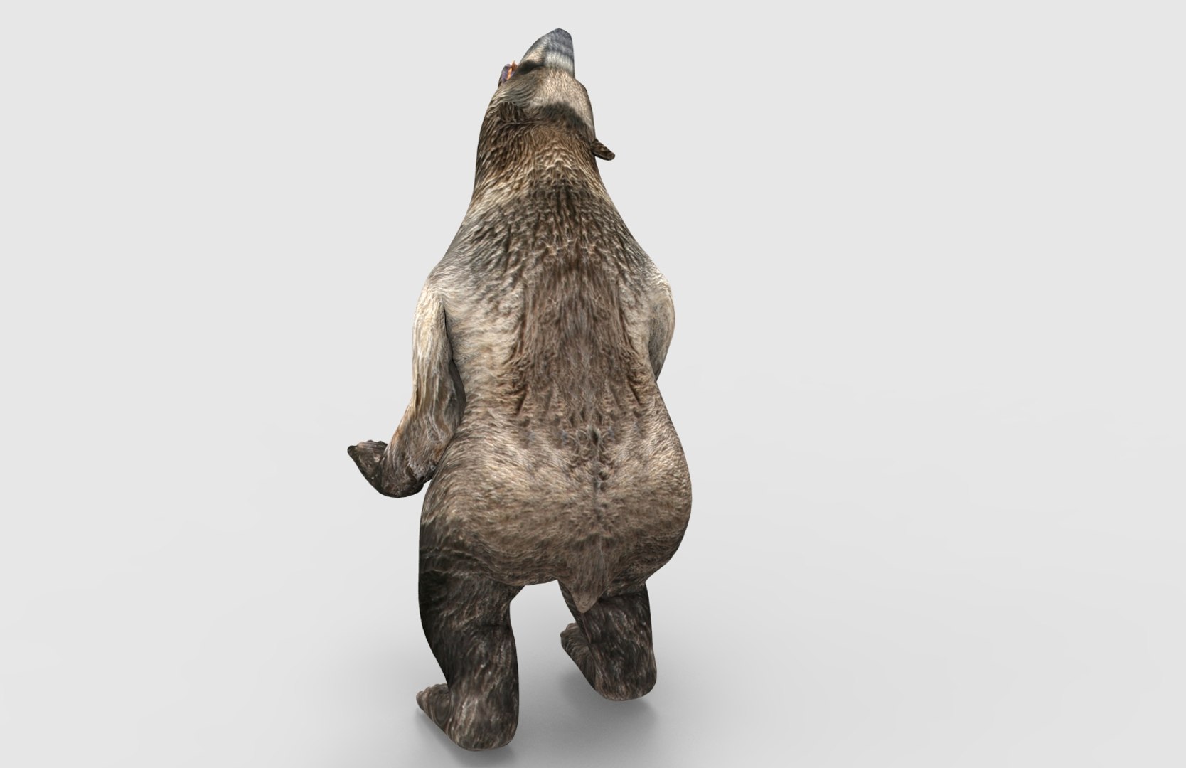 3D model brown bear animation - TurboSquid 1225584