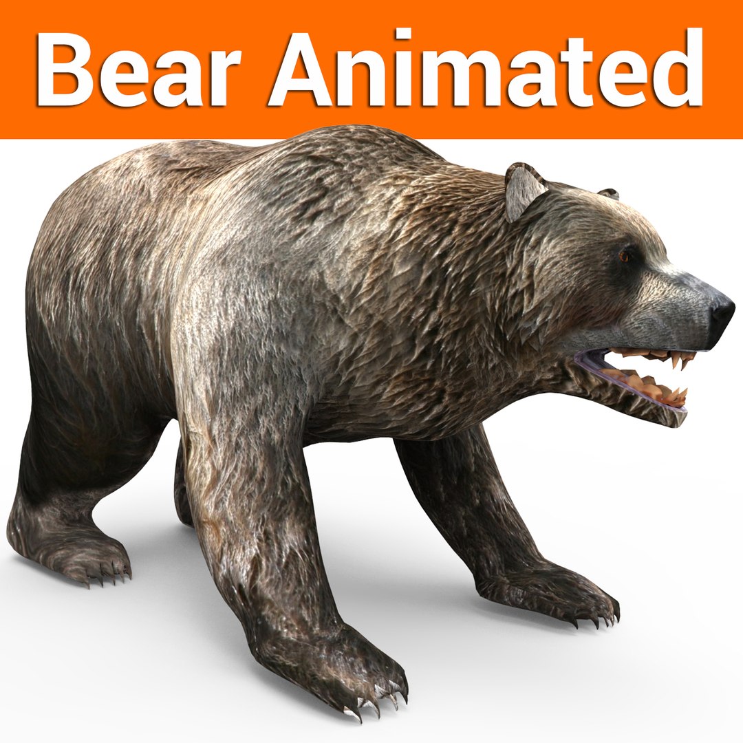 3D model brown bear animation - TurboSquid 1225584