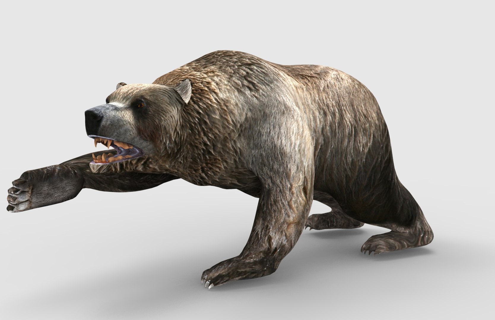 3D model brown bear animation - TurboSquid 1225584