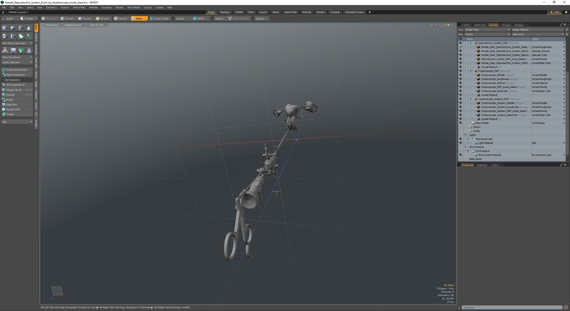 Female Reproductive System Exam By Hysteroscope 3D Model - TurboSquid ...