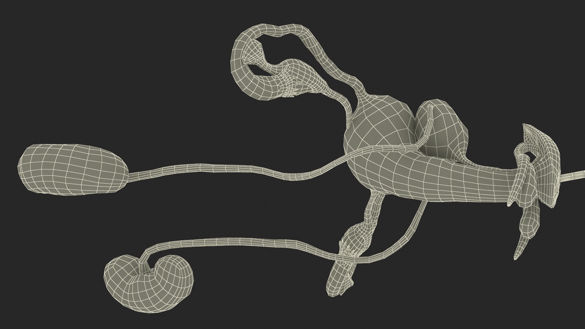 Female Reproductive System Exam By Hysteroscope 3D Model - TurboSquid ...