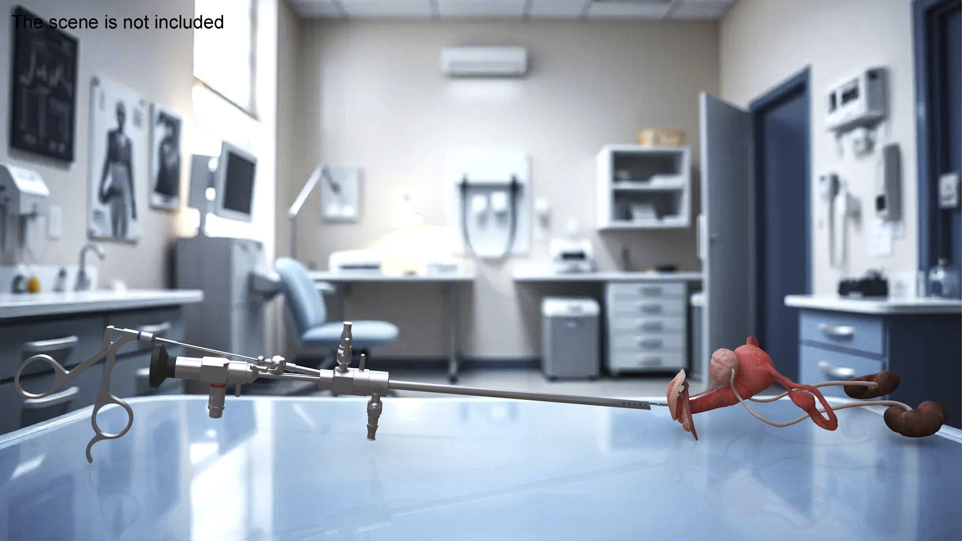 Female Reproductive System Exam By Hysteroscope 3D Model - TurboSquid ...