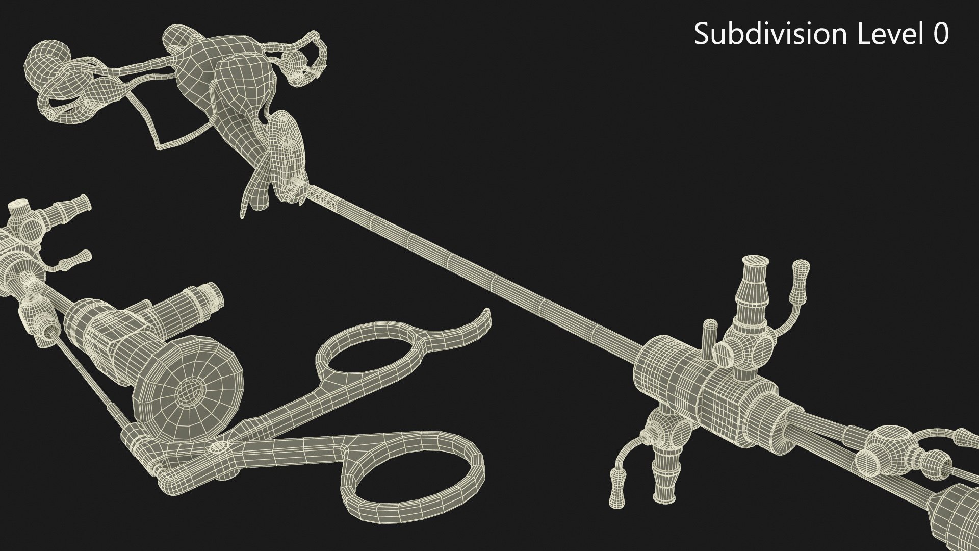 Female Reproductive System Exam By Hysteroscope 3D Model - TurboSquid ...
