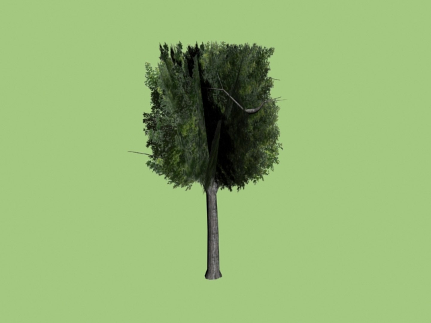 3d Tree Model