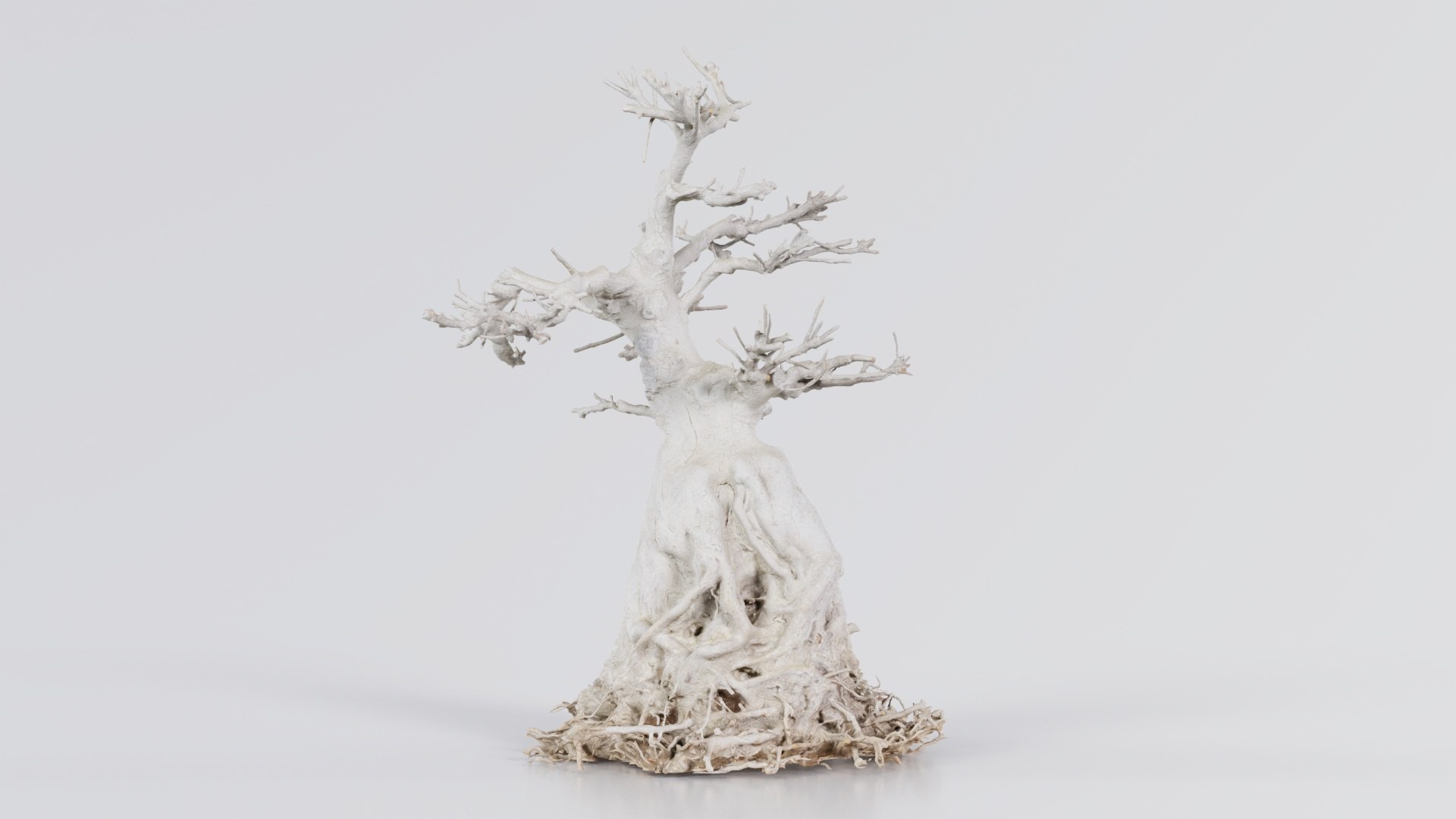 Dead Bonsai Tree 7 Remastered 3D Model - TurboSquid 2363131