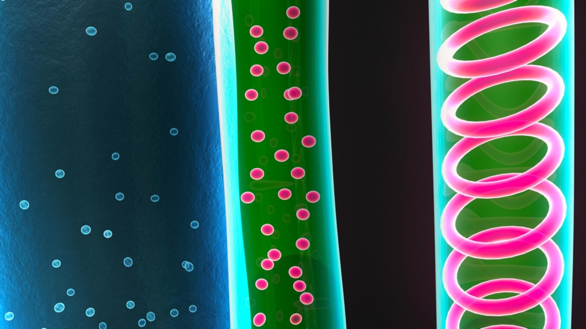 Xylem 3D Model - TurboSquid 1263020