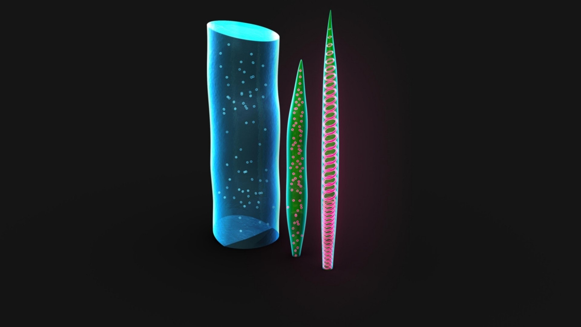Xylem 3D Model - TurboSquid 1263020