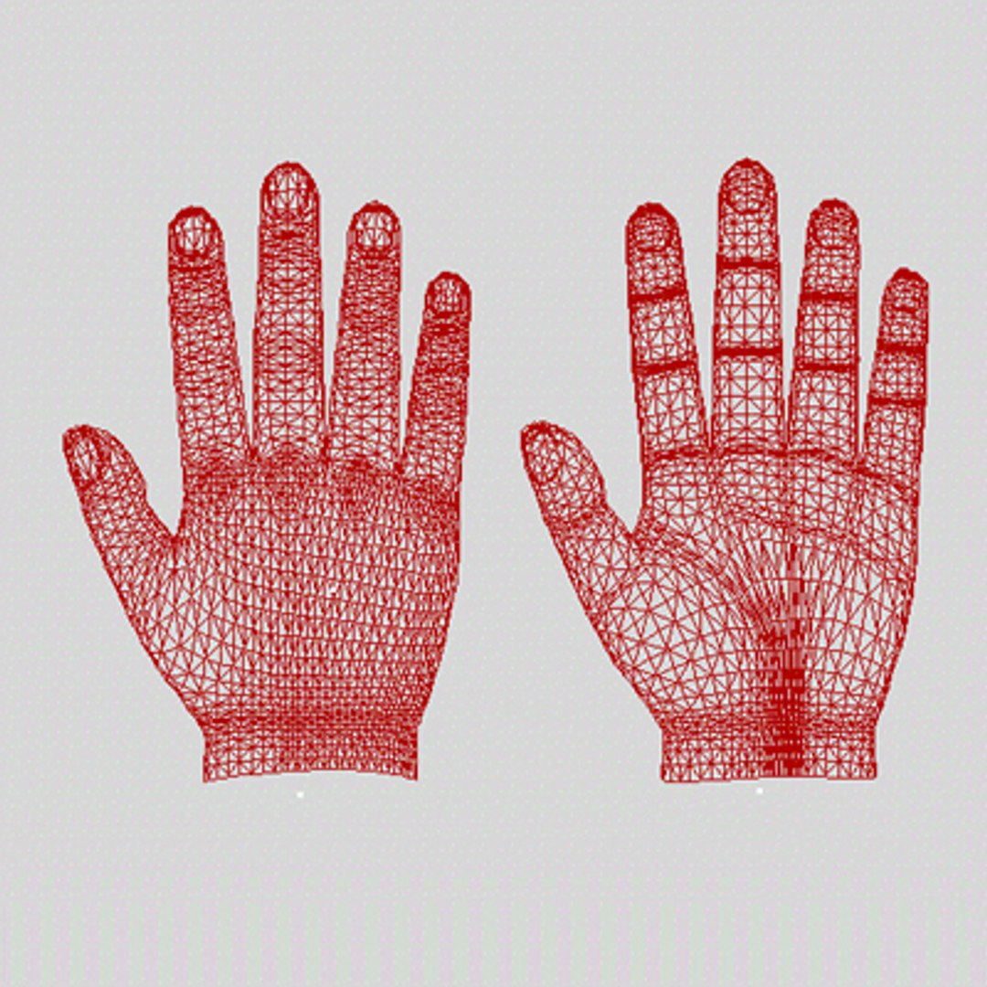 3d Hands Model