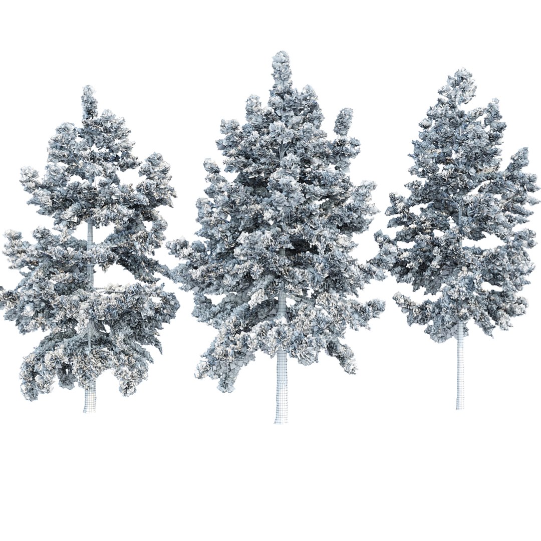 3D Conifer Trees Collection Vol 86 Model - TurboSquid 1962709