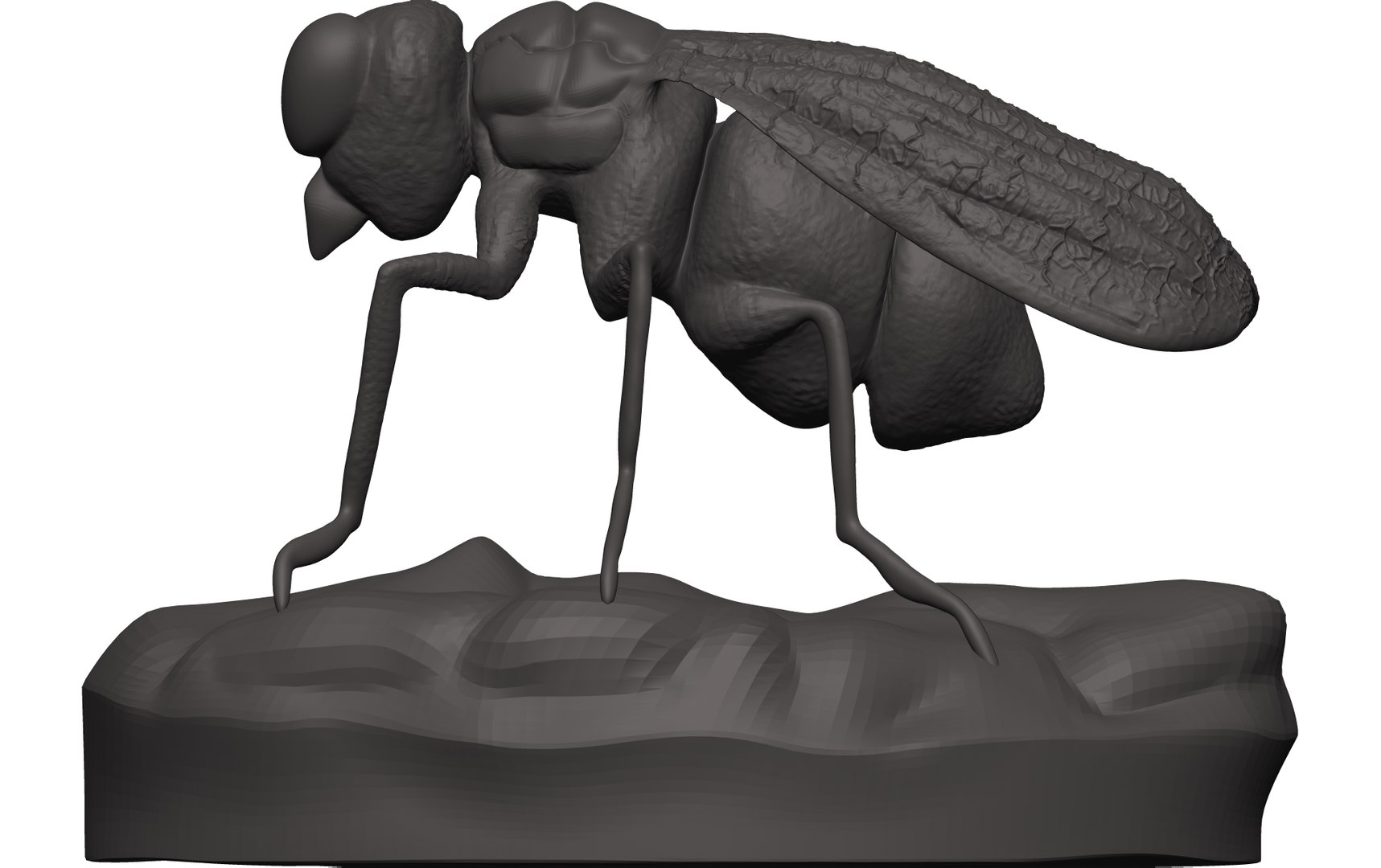 Fly 3D Model - TurboSquid 1850298