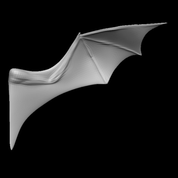Dragon Wings 3D Models for Download | TurboSquid