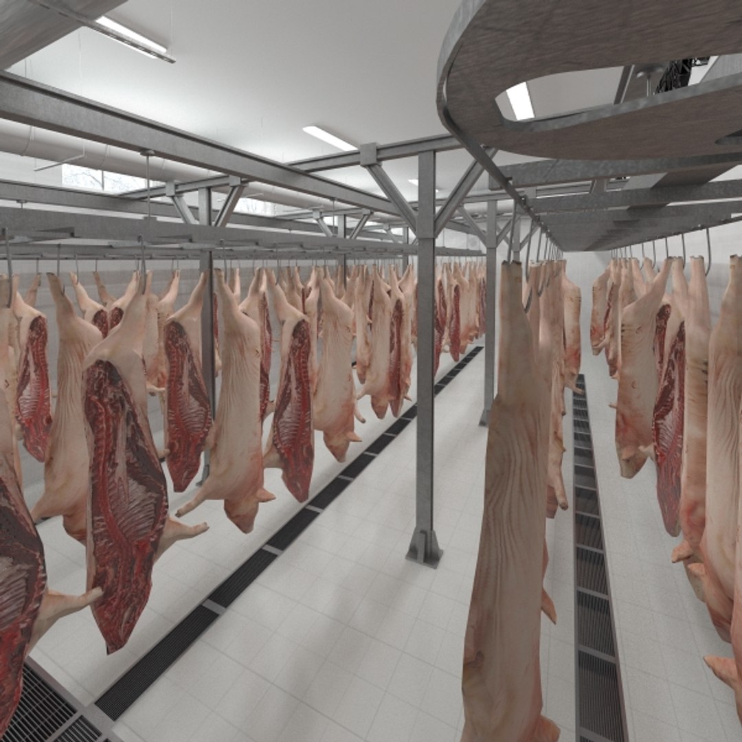3D Slaughter House Hanging Pork Model - TurboSquid 1159044